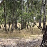 Westerfolds Park Circuit, Victoria, Australia - 393 Reviews, Map ...