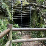 Conondale Range Great Walk: Booloumba Creek - Wongai Camp, Queensland ...