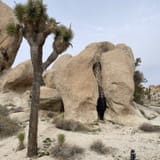 Turtle Rock Loop, California - 76 Reviews, Map | AllTrails