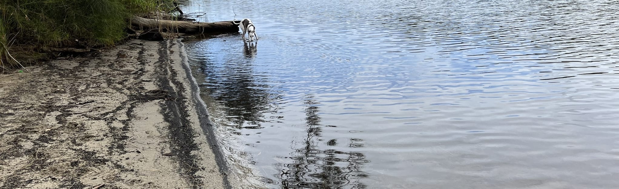 Basin View Foreshore walk via Wandandian Creek: 4 Reviews, Map - New ...