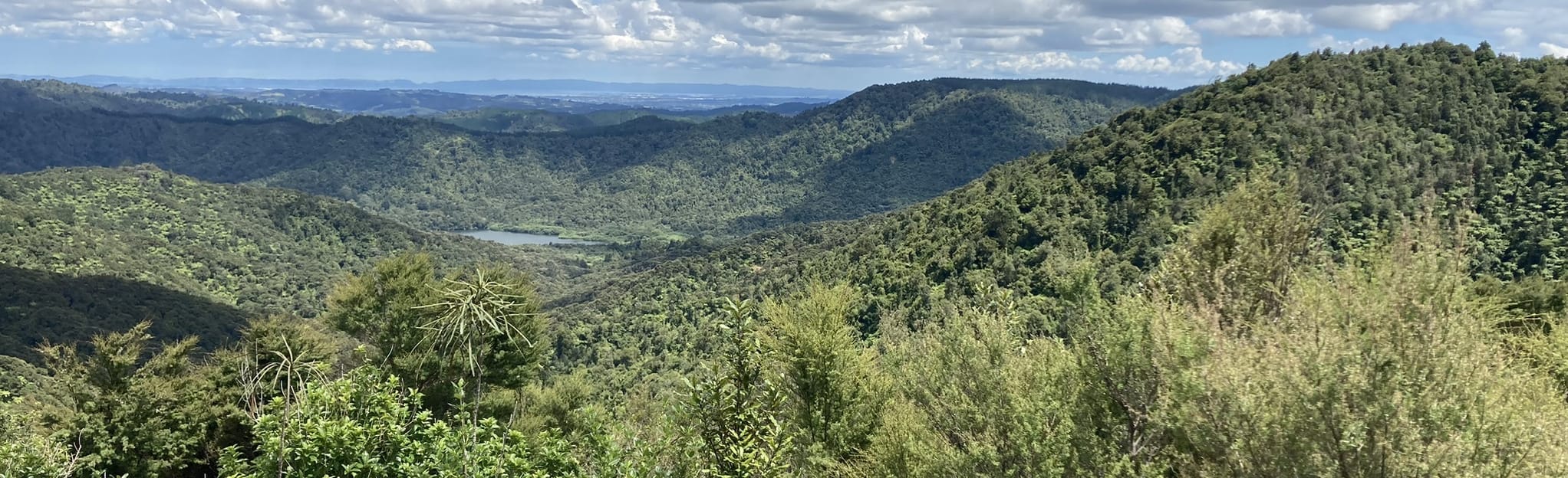 Hunua Ranges Forest Loops, Waikato, New Zealand - Map, Guide | AllTrails