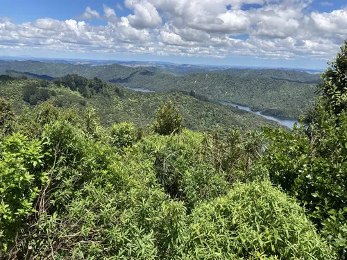 10 Best Walking Trails in Hunua Ranges Regional Park | AllTrails