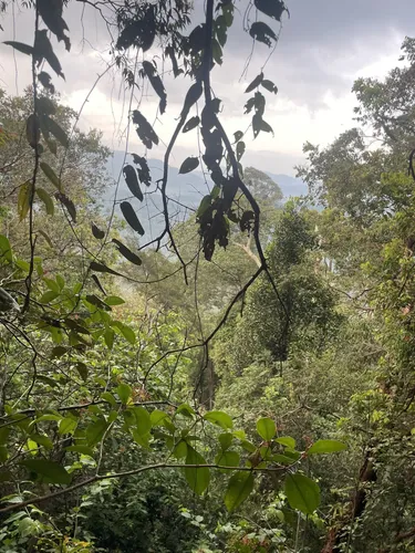 Best River Trails in Ulu Kinta | AllTrails