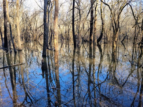 Best Hikes and Trails in Delta National Forest | AllTrails