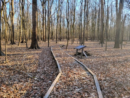 Delta National Forest: Die besten Wanderungen und Routen | AllTrails