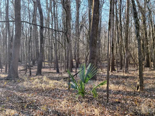 Best Hikes and Trails in Delta National Forest | AllTrails