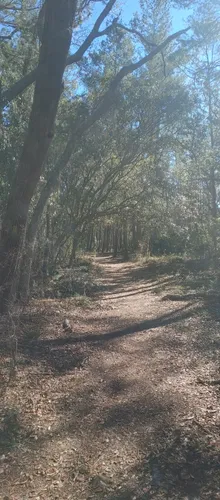 Best Hikes and Trails in Daytona Beach | AllTrails