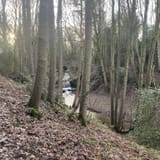 Hackfall Explorer, North Yorkshire, England - 332 Reviews, Map | AllTrails