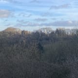 Hackfall Explorer, North Yorkshire, England - 332 Reviews, Map | AllTrails