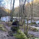 Hackfall Explorer, North Yorkshire, England - 332 Reviews, Map | AllTrails
