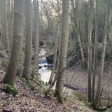 Hackfall Explorer, North Yorkshire, England - 332 Reviews, Map | AllTrails