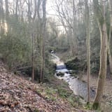 Hackfall Explorer, North Yorkshire, England - 332 Reviews, Map | AllTrails