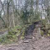 Hackfall Explorer, North Yorkshire, England - 332 Reviews, Map | AllTrails