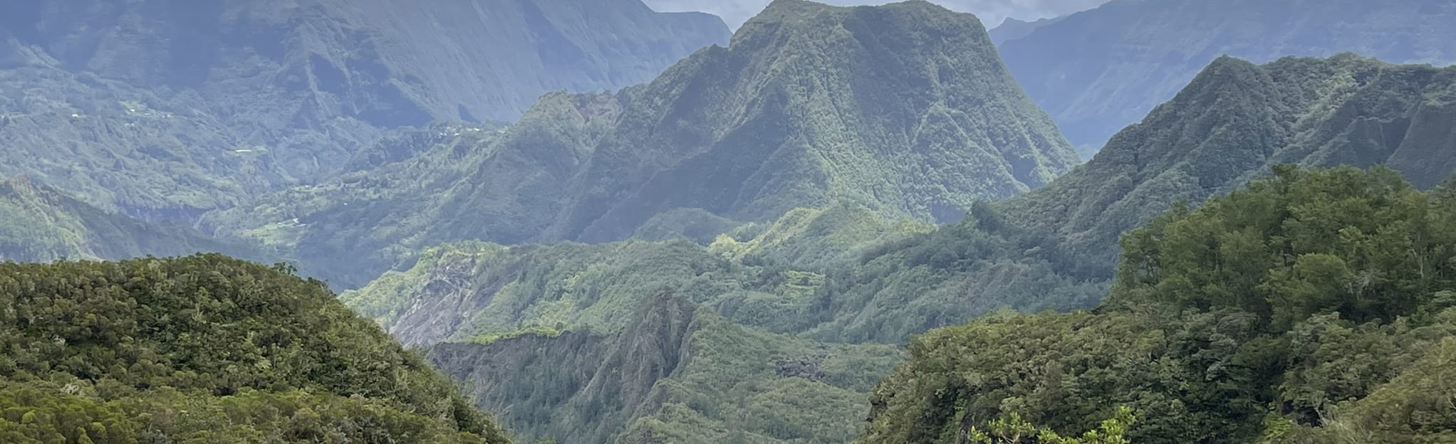 Le Bélier - Col de la Fourche: 42 Fotos - Saint-Benoît, Réunion | AllTrails