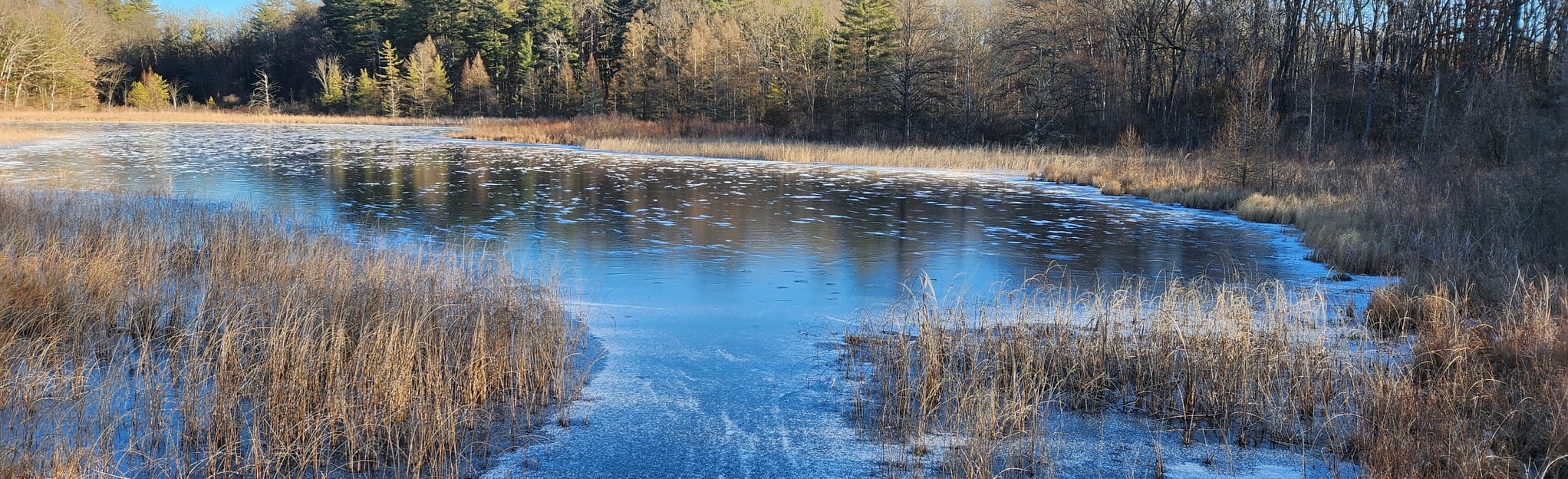 Chain of Lakes Trail: 2.530 foto's - Michigan | AllTrails