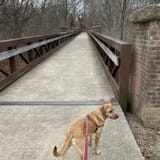 Anchorage Trail, Kentucky - 611 Reviews, Map | AllTrails