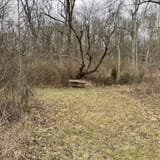 Anchorage Trail, Kentucky - 611 Reviews, Map | AllTrails