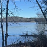 Eagle Point Trail, North Carolina - 236 Reviews, Map | AllTrails