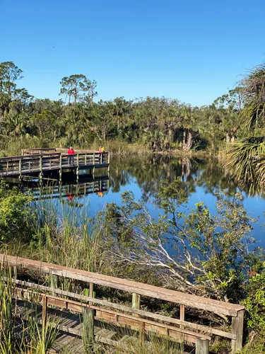 Best Hikes and Trails in Charlotte Harbor Preserve State Park | AllTrails