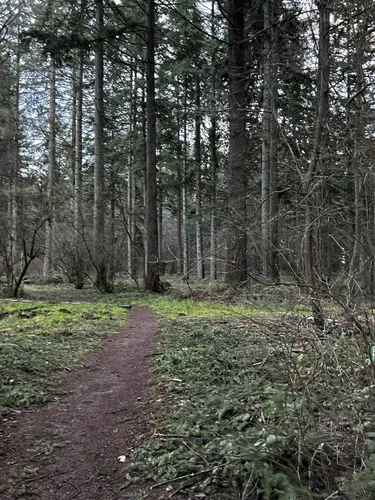 Best Hikes and Trails in Orchards Park | AllTrails