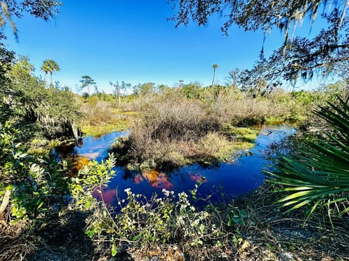 Best Hikes and Trails in Tiger Creek Preserve | AllTrails