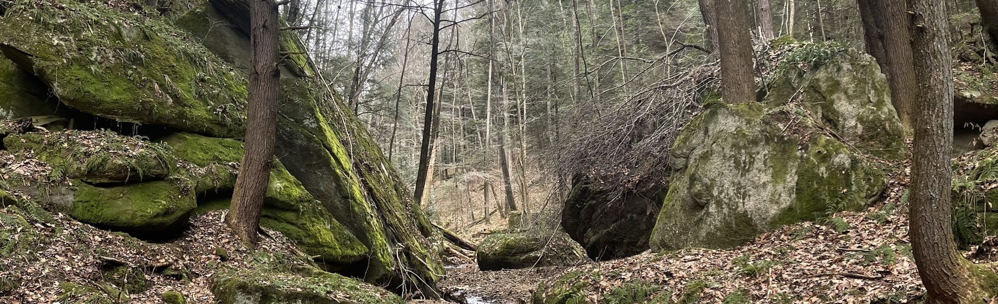 Sheick Hollow, Ohio - 100 Reviews, Map | AllTrails