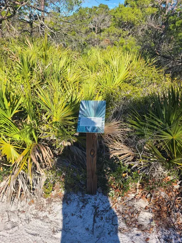 Best Hikes and Trails in Henderson Beach State Park | AllTrails