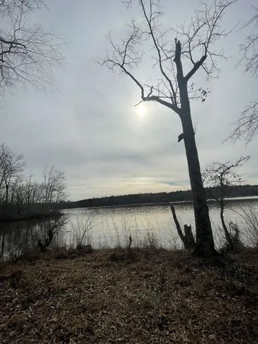 Best Moderate Trails in Standing Boy Trails | AllTrails