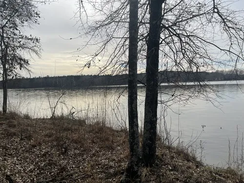 Best Hikes and Trails in Standing Boy Trails | AllTrails