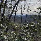 Appalachian Trail: Springer Mountain to Neels Gap, Georgia - 159 ...