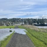 Petaluma River Park Trail, California - 48 Reviews, Map | AllTrails