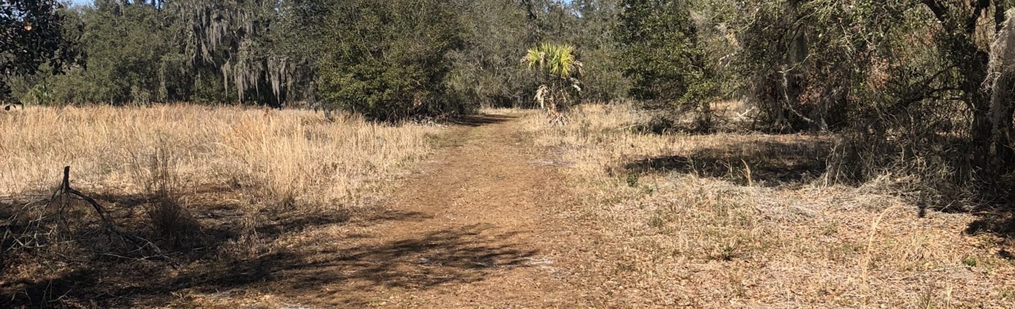 Alafia River Corridor South Yellow Loop: 80 Reviews, Map - Florida ...