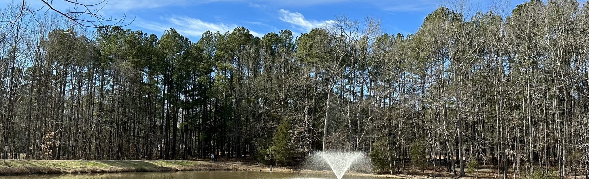 Anderson Park Loop, North Carolina - 25 Reviews, Map | AllTrails