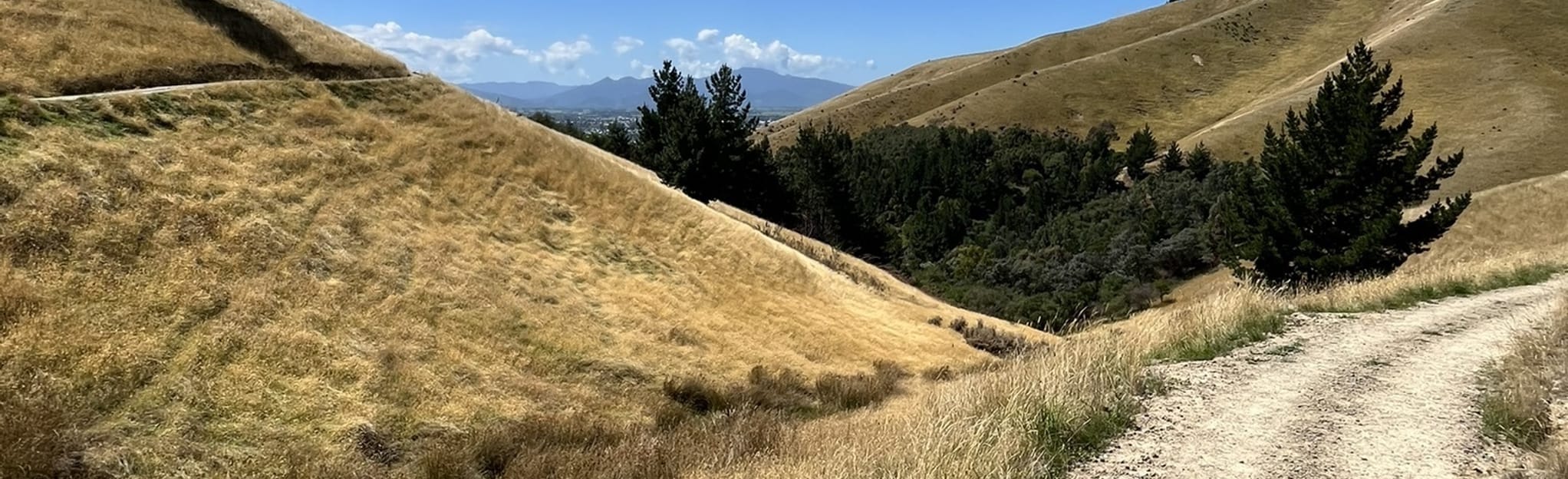 Rotary Lookout, Twin Tanks, and Lower Quail Stream Track Loop: 134 ...