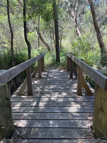 Best Hikes and Trails in Baluk Willam Flora Reserve | AllTrails