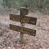 Little Lake Creek Wilderness South Loop, Texas - 143 Reviews, Map ...