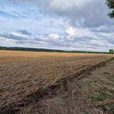 Boxley and the North Downs Circular, Kent, England - 370 Reviews, Map ...