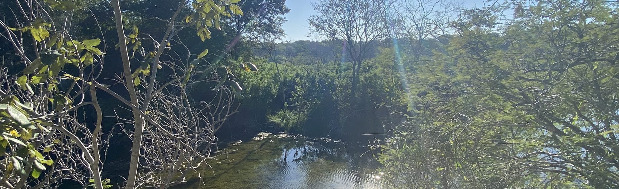 Recorrido Mérida Noroeste: 2 Reviews, Map - Yucatán, Mexico | AllTrails