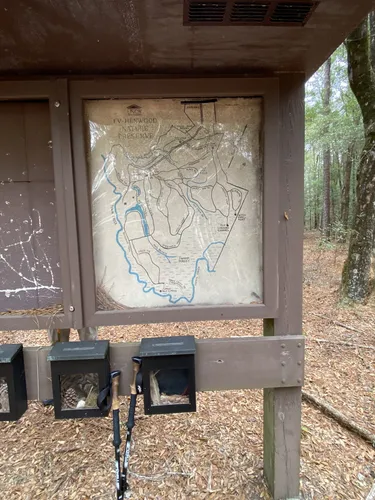 Best Hikes and Trails in Ev-Henwood Nature Preserve | AllTrails