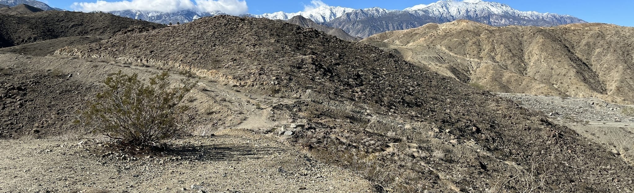 AllTrails | Jack Rabbit Trail: 274 Reviews, Map - California