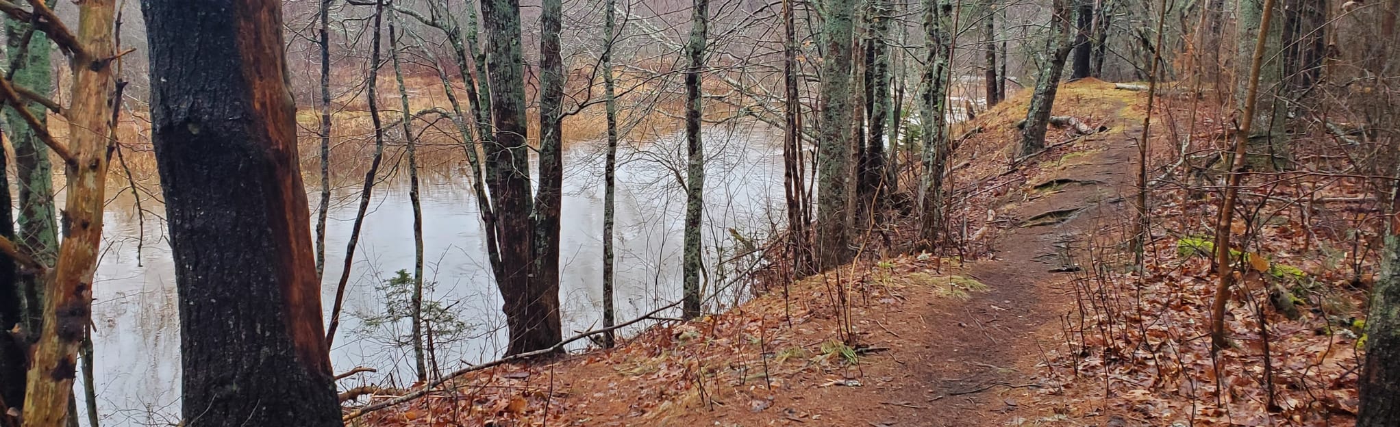 Harvest Moon Trailway: Cornwallis River Segment: 44 Reviews, Map - Nova ...