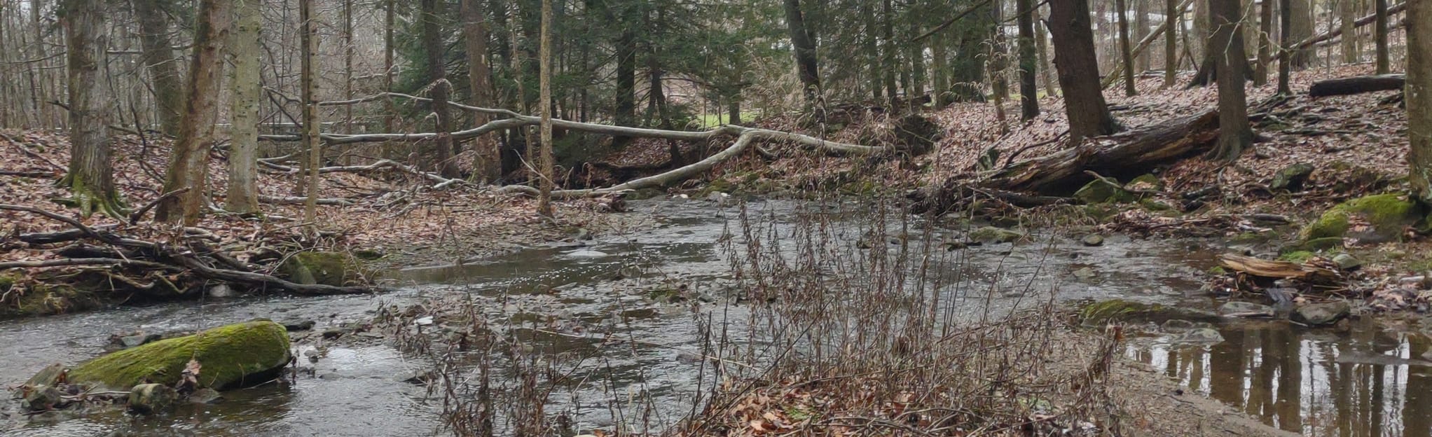 AllTrails | Bear's Den Ravine Trail: 18 Reviews, Map - Ohio