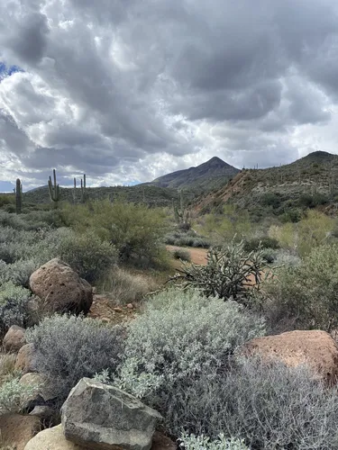 10 Best Hikes and Trails in Spur Cross Ranch Conservation Area | AllTrails