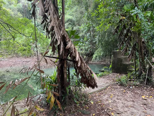 Best Hikes and Trails in Mount Faber Park | AllTrails