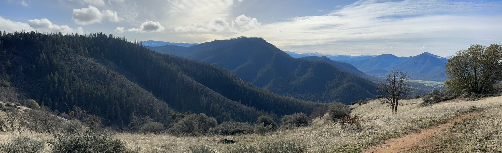 East Applegate Ridge Trail (EART): 592 Reviews, Map - Oregon | AllTrails