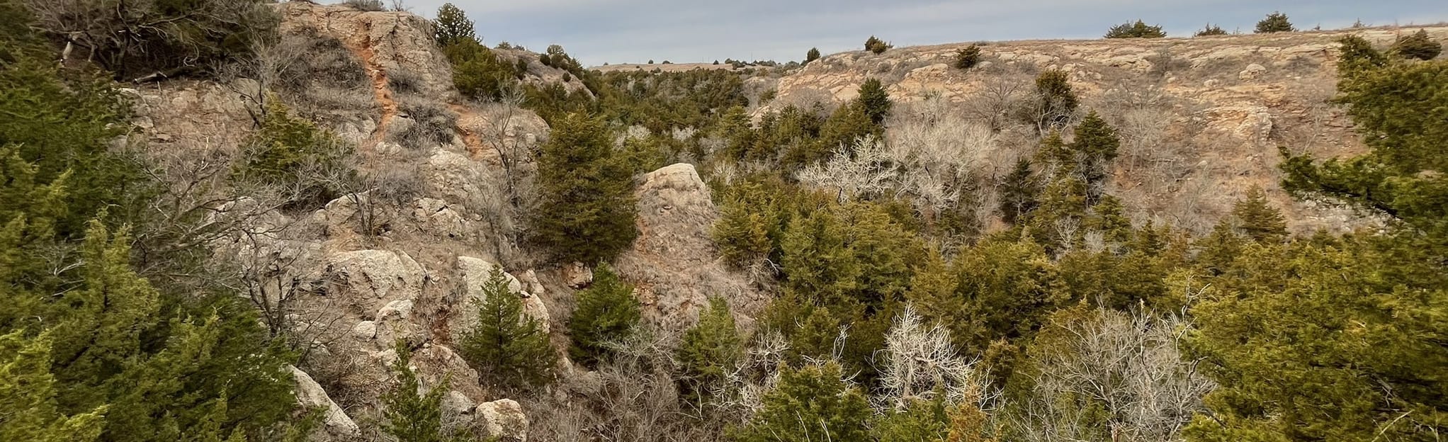Alabaster Cave Trail: 85 Reviews, Map - Oklahoma | AllTrails