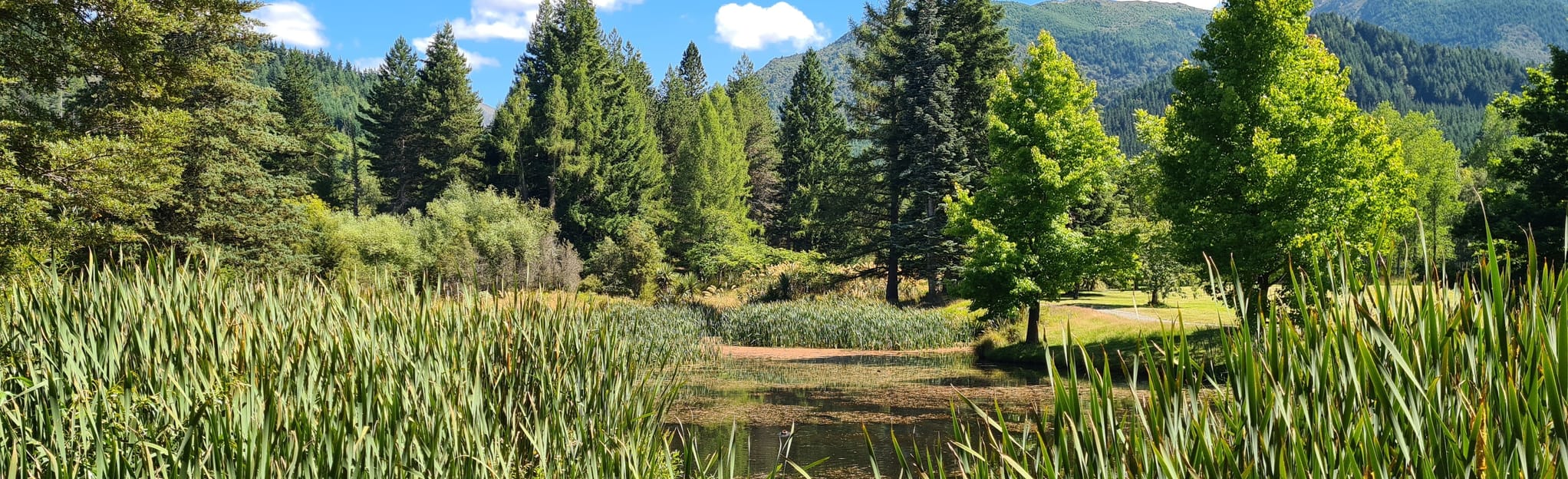 Woodland Walk and Conical Hill Loop, Canterbury, New Zealand - 63 ...