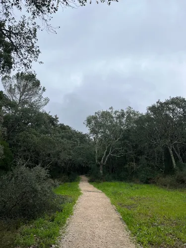 10 Best Kid Friendly Trails in Monsanto Forest Park | AllTrails