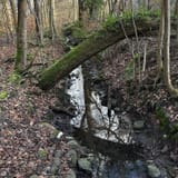 Cathkin Braes Country Park and Linn Park Circular, Glasgow City ...