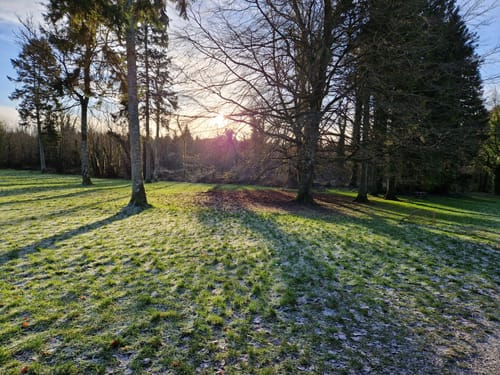 Best Hikes and Trails in Donadea Forest Park | AllTrails